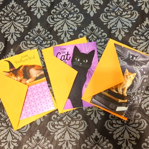 Hallmark | Holiday | 3 Pk Cat Themed Hallmark Halloween Cards | Poshmark